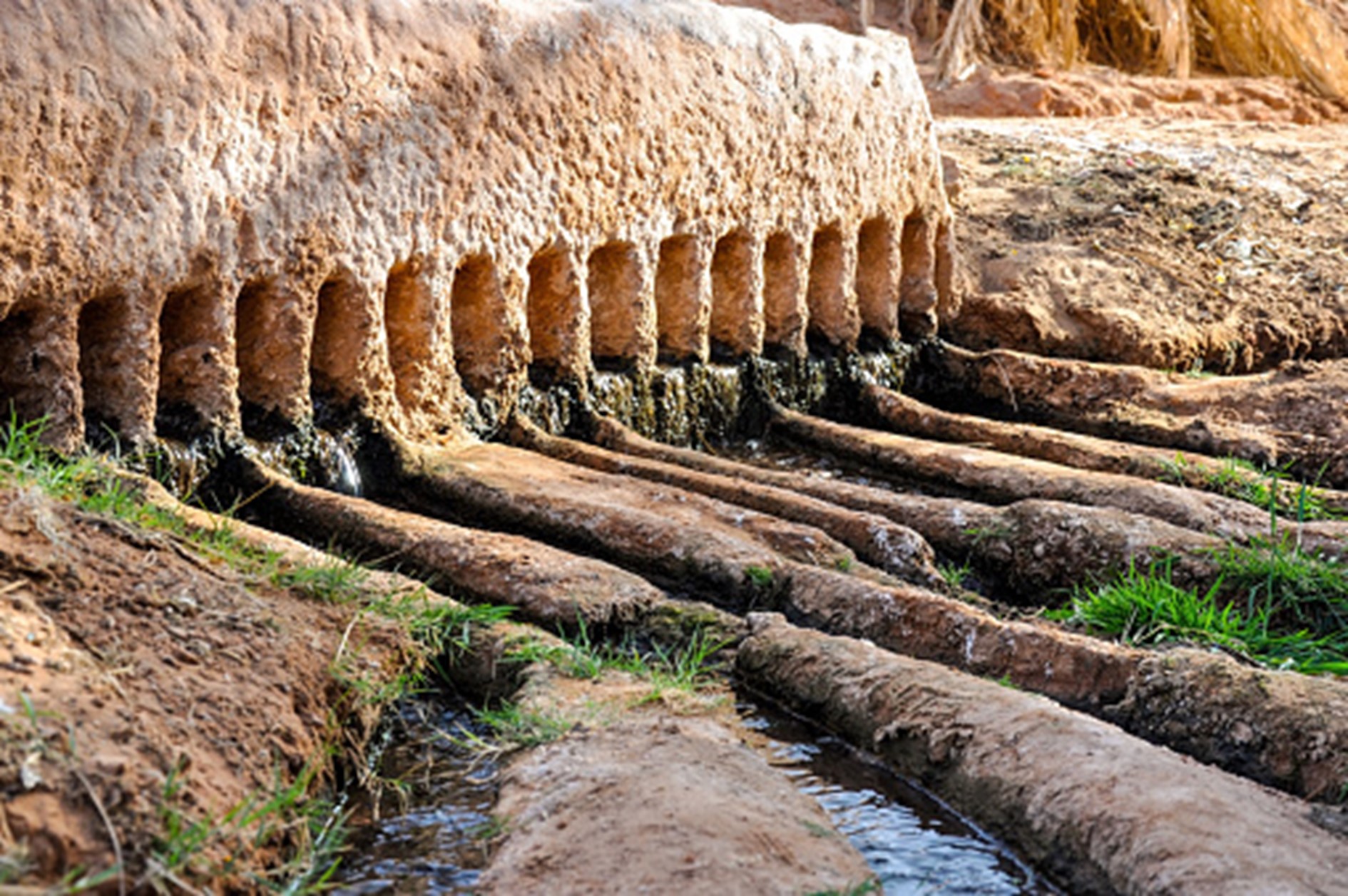 Les foggaras en danger - Willagri - Comprendre les enjeux de l'agriculture